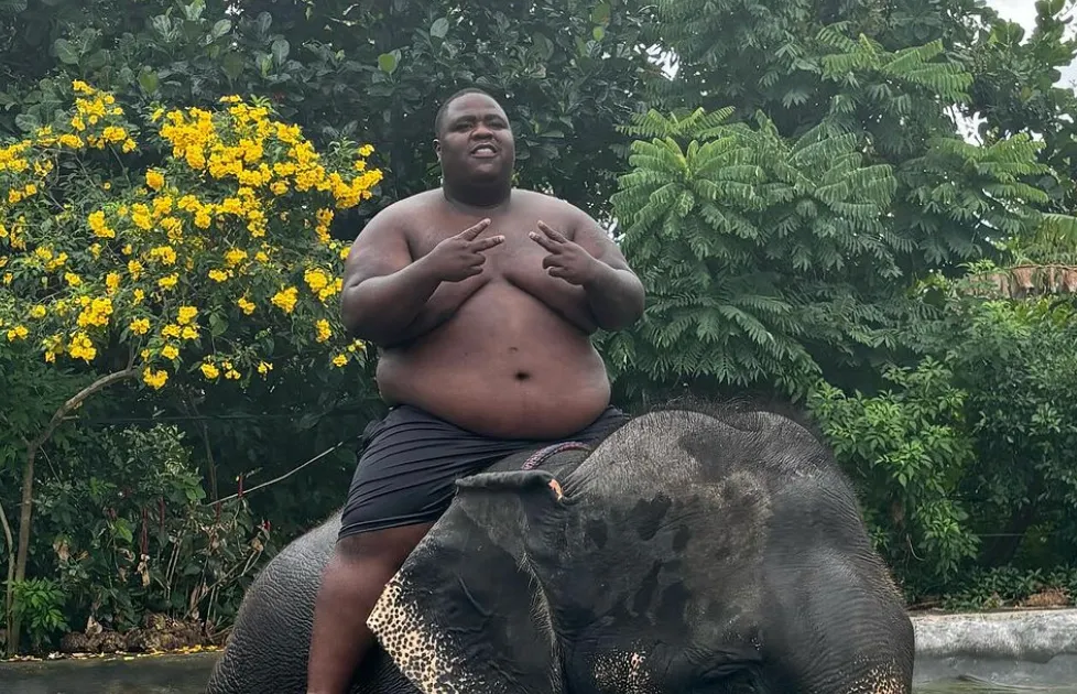 Bigidagoe vreest voor zijn leven tijdens ritje op een olifant in Thailand