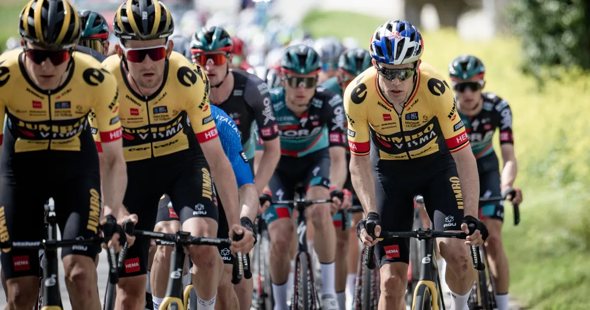 "Wenn Red Bull es tun will, dann ist es klar, dass sie glauben, dass ...