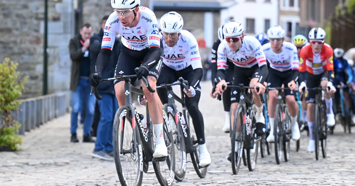 Das neue Traumduo des UAE Team Emirates? Domen Novak soll kurz vor ...