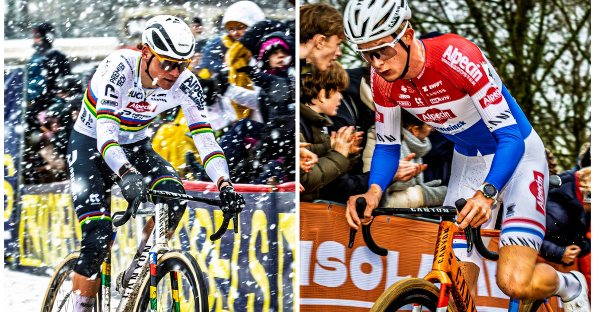 „Entweder man hat es oder man hat es nicht“: Zonneveld sieht in Del ...