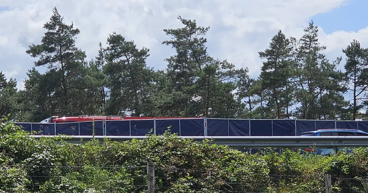 Verdachte van dodelijk ongeval A12 was onder invloed van drugs