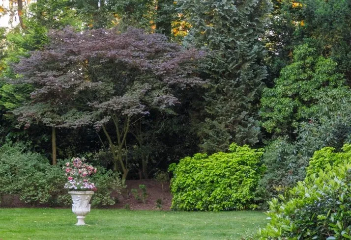 Acht tuinen te bezoeken tijdens de Open Tuinendag in Renkum/Heelsum