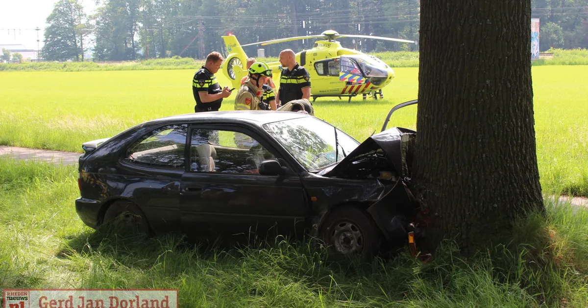 Auto tegen boom in Velp: bestuurder naar ziekenhuis, hond naar opvang