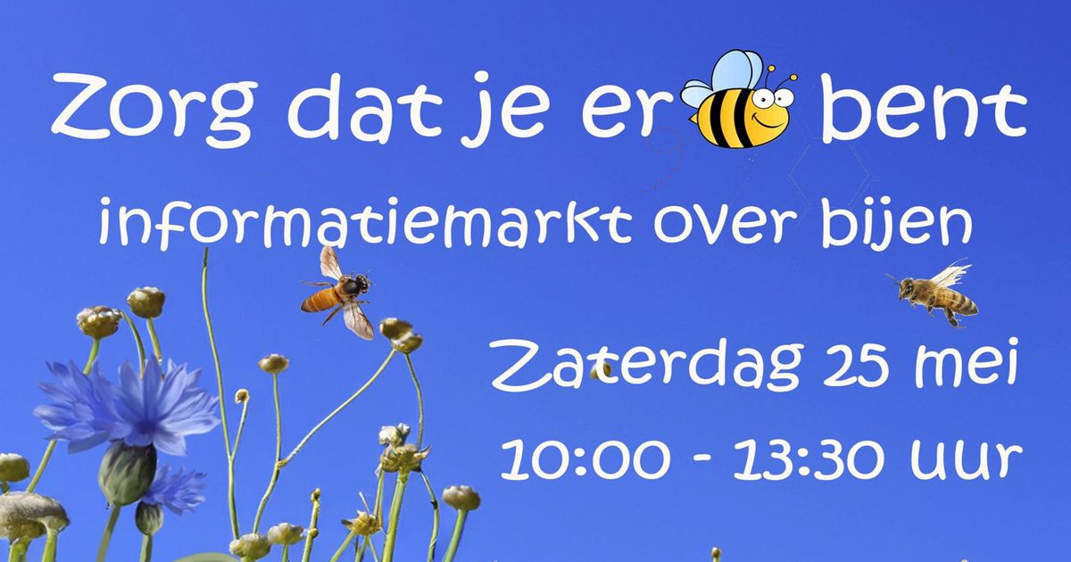 Kom meer te weten over bijen in Velp!