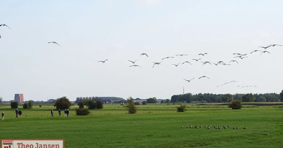 Zorgen over stikstofregels: 5 gemeenten vrezen stilstand in woningbouw