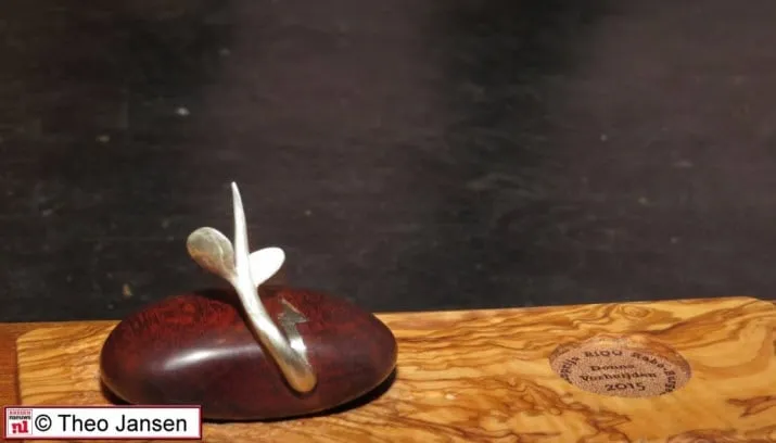 Emmanuel Frankenberg winnaar RABO-Burgemeester de Bruinprijs 2017