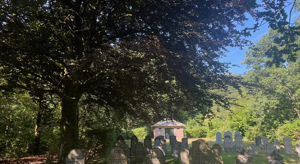 Rode beuk bij Joodse begraafplaats Dieren blijft staan