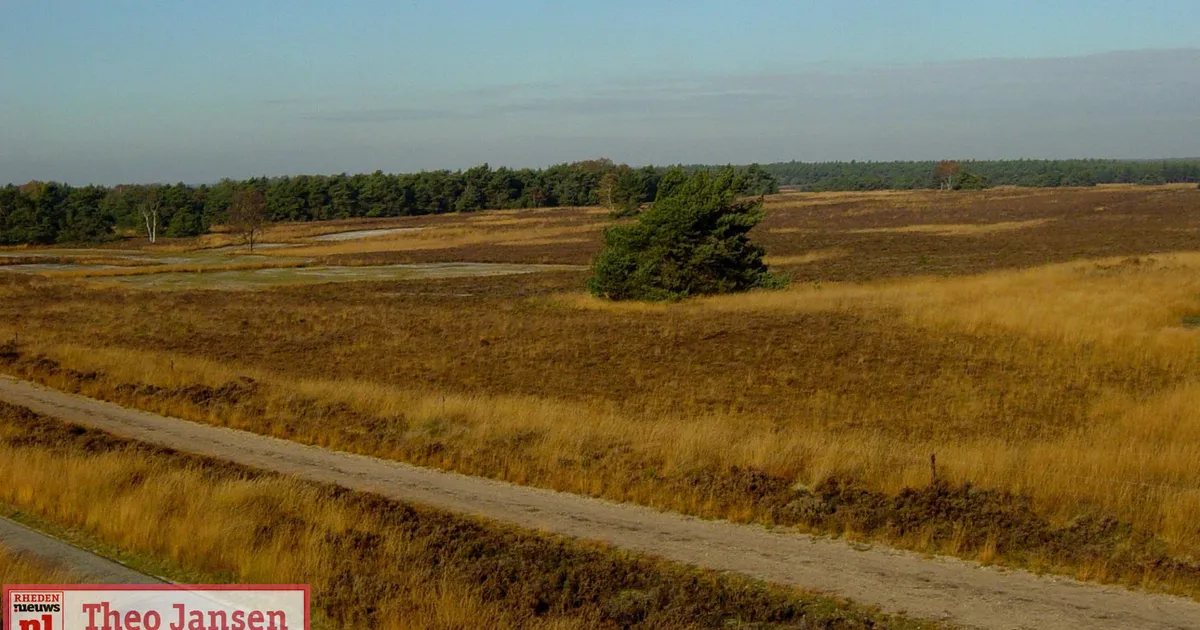 Wat vindt het Rozendaalse veld zelf? In de ‘Stem van de Natuur’