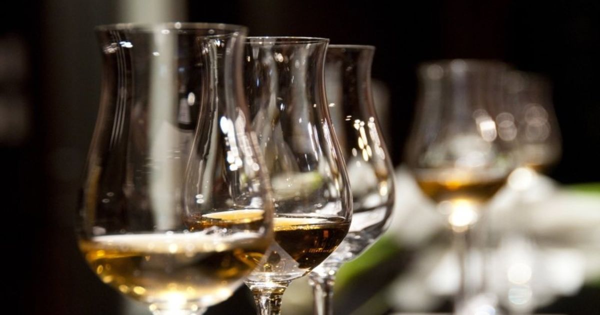 Bob-campagne aanwezig op WinterFair Rosendael in Rozendaal