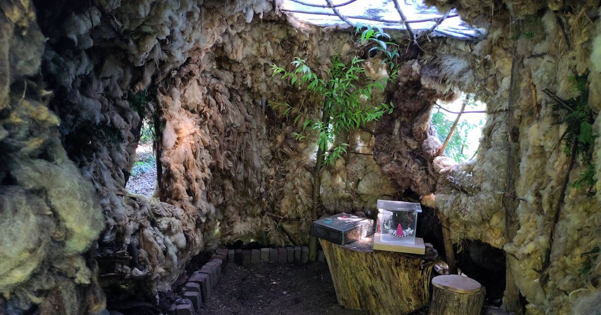 Nieuwe Ruimte presenteert expositie ‘ODE AAN HET LEVEN’