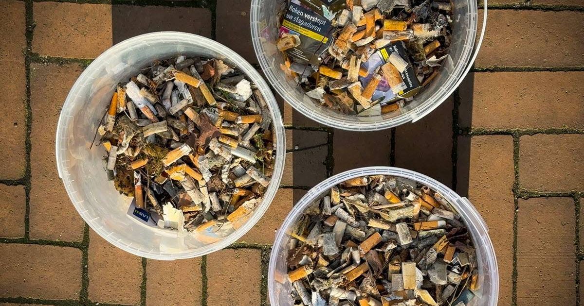 Peuken schoonmaakactie door Partij voor de Dieren op het Callunaplein ...