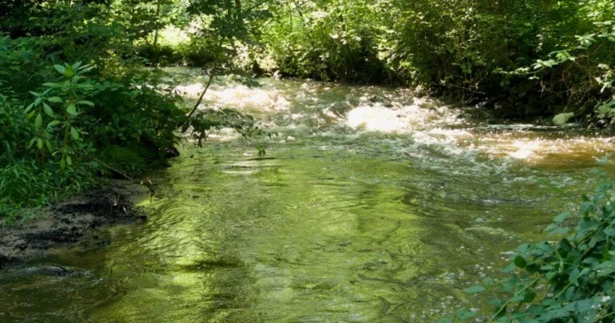 Jeugdtocht ‘Ontdek de Swalm’