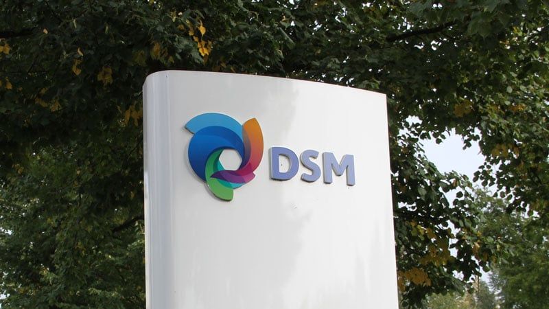 DSM Caprolactam verder als Fibrant