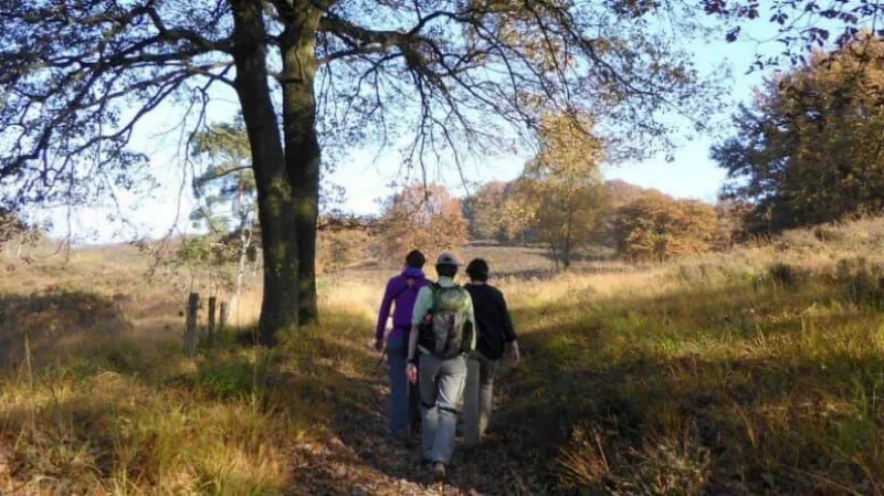 Wandeling in nationaal park De Meinweg met Gilde de Graven