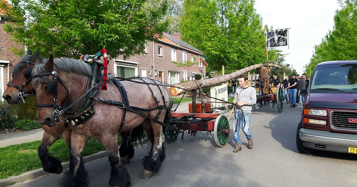 Nieuwe mei-den geplaatst in Oud-Geleen