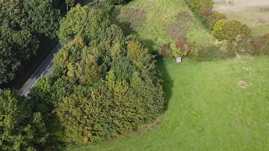 Proefbos Zump maakt Simpelveld mooier en waterveiliger