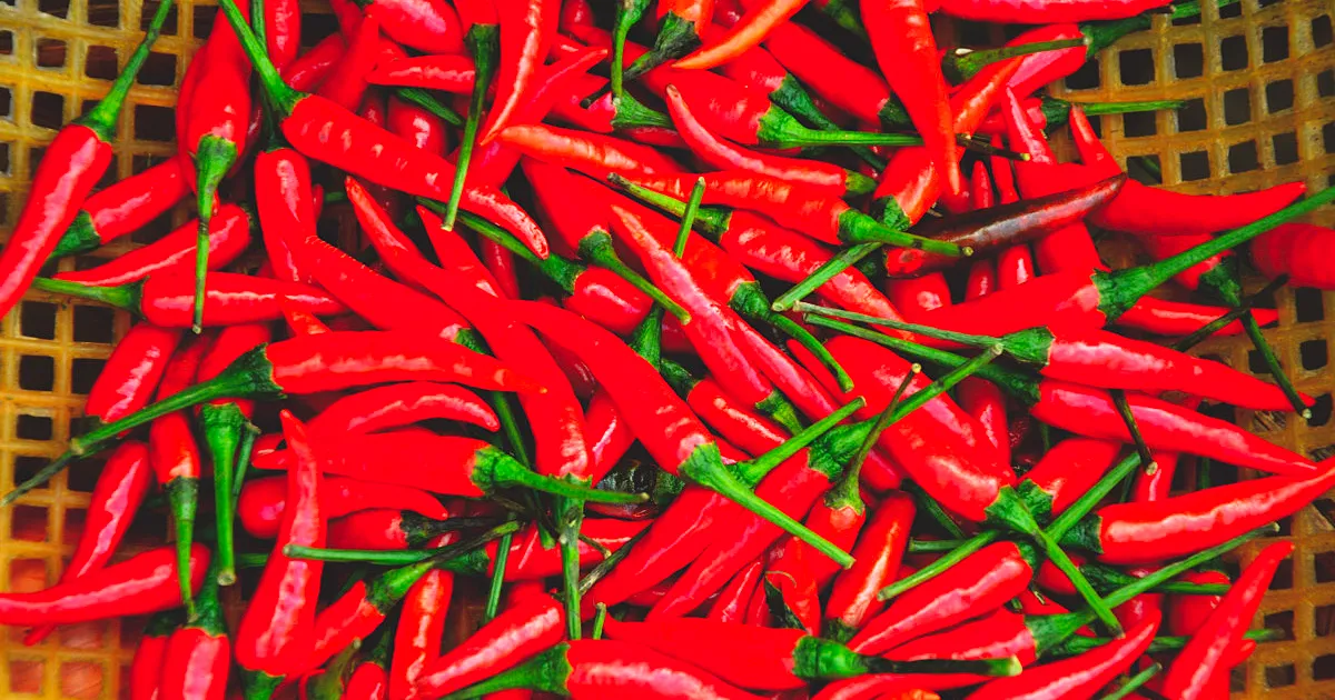 Veiligheidswaarschuwing voor Rode Rawit Peper 50 gram (Natures Pride) Makro