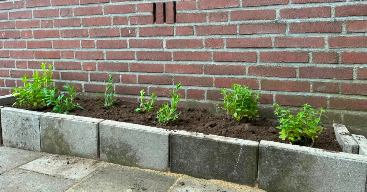 Maastricht wipte drie keer zoveel tegels als Sittard-Geleen