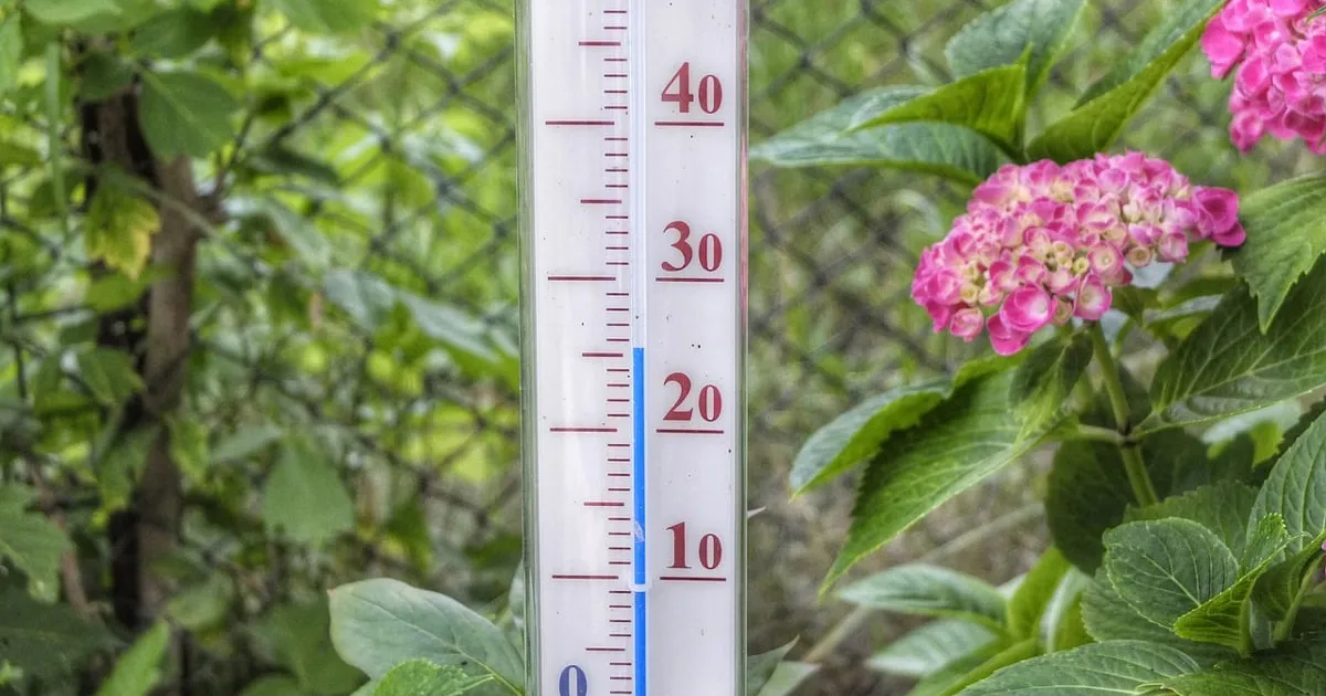 Eerste officiële zomerse dag met 25,0 graden in De Bilt