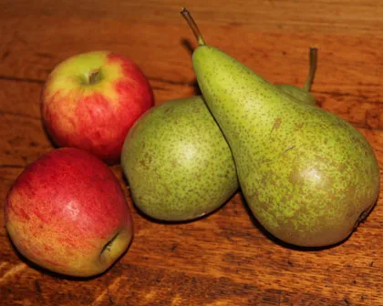 Europese fruitoogst fors lager door kou