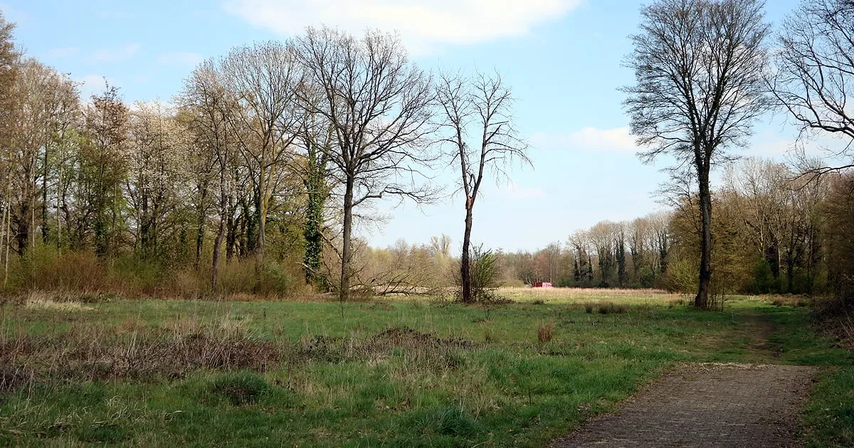Denk mee over de natuur- en landschapsvisie voor zwem- en sportlocatie ...