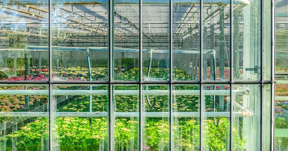 Brightlands Next Generation Farming: nieuw innovatiecentrum voor land ...