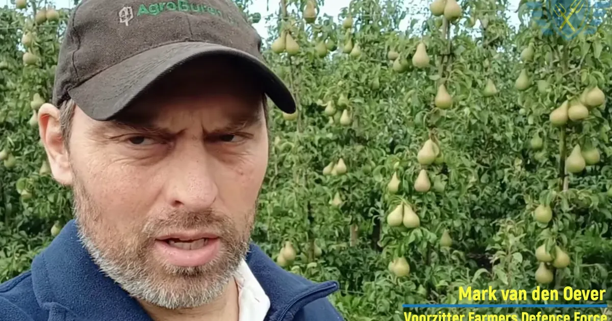 FDF overlegt vanavond over lancering eigen partij: BBB heeft afgedaan