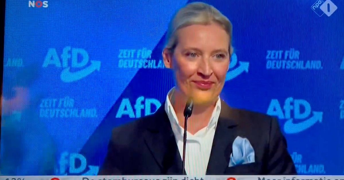 Merz’ AfD-Draai: Tactiek of Angst voor Backlash?
