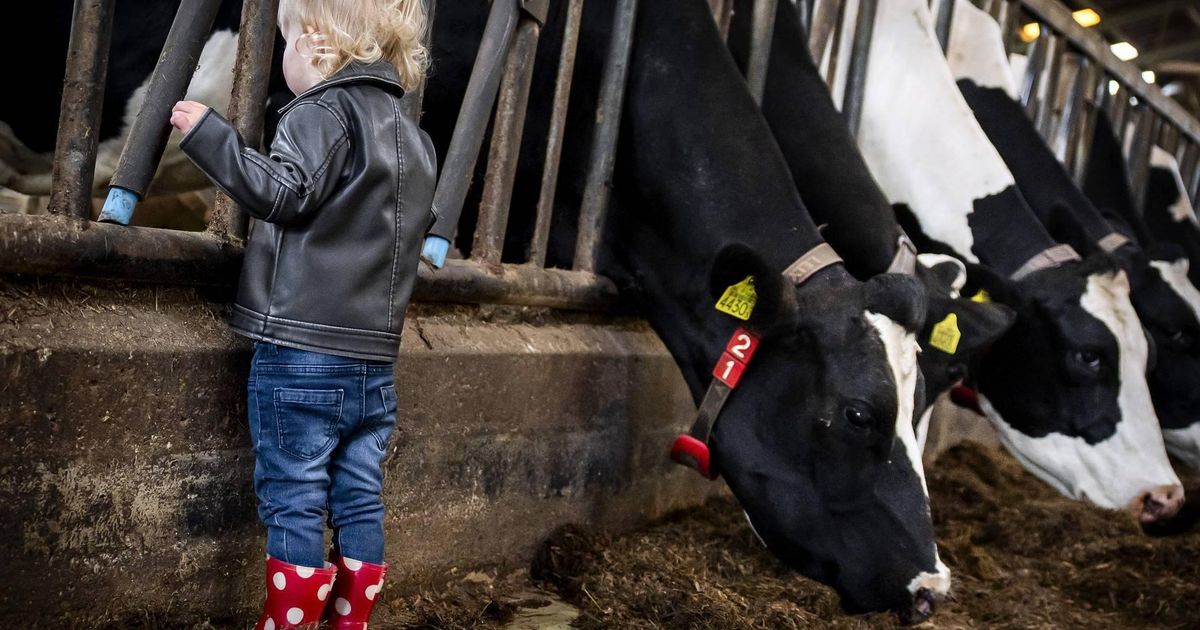 Brabant start proef met 'realtime' meten uitstoot veehouderijen