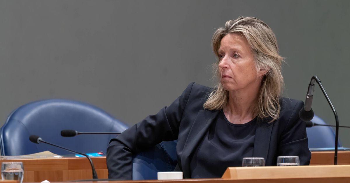 Mees Wijnants: EU en Ollongren tonen corruptie in volle glorie | DDS