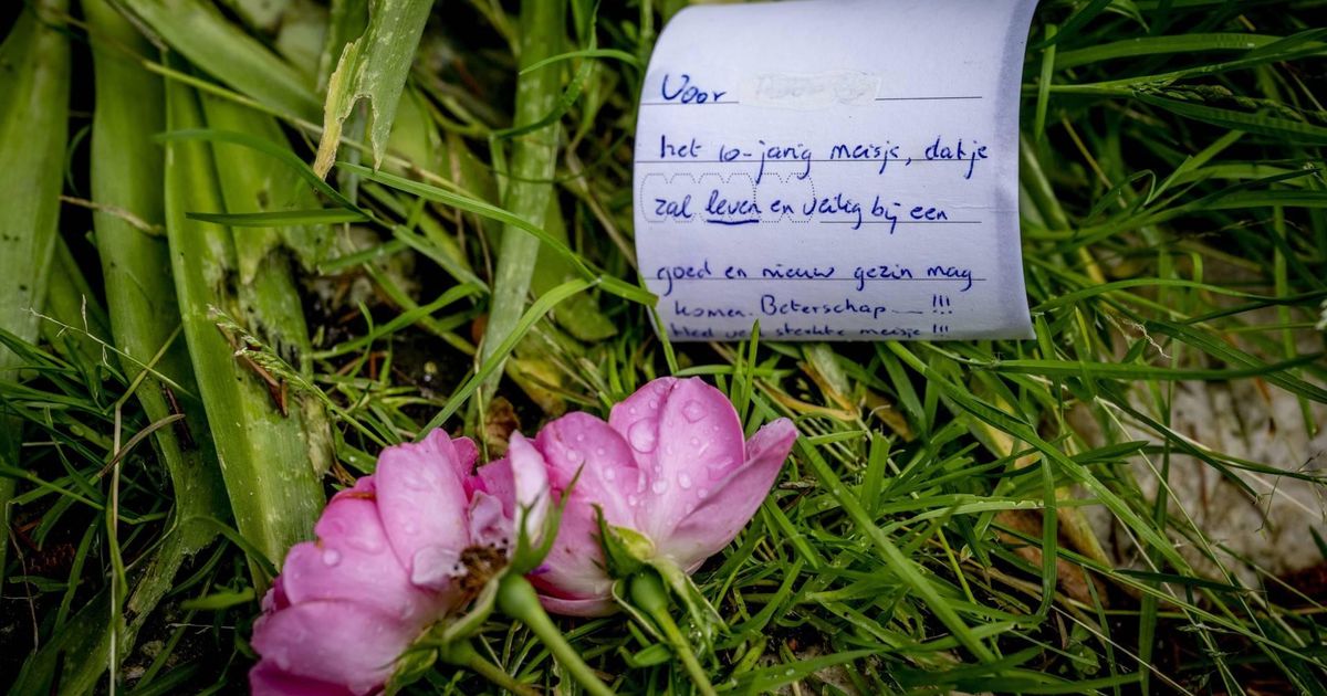 Moeder: mijn zoons zijn beschadigd in Vlaardings pleeggezin