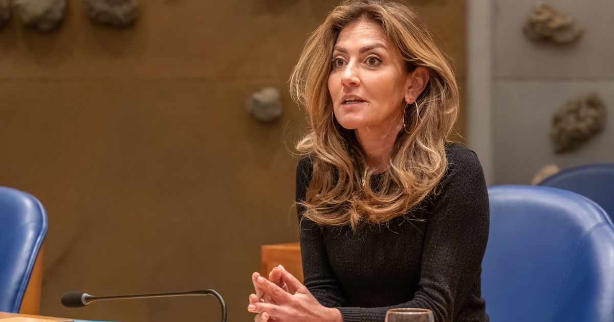 Dilan Yeşilgöz negeert Kerst op X | DDS