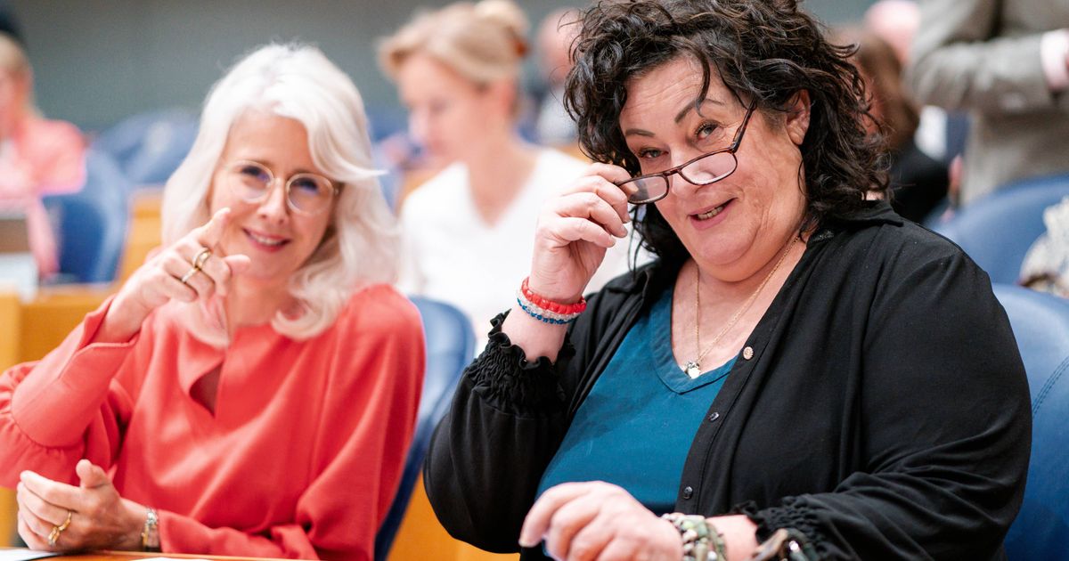 Henk Vermeer neemt stokje over van Caroline van der Plas: Mona Keijzer ...