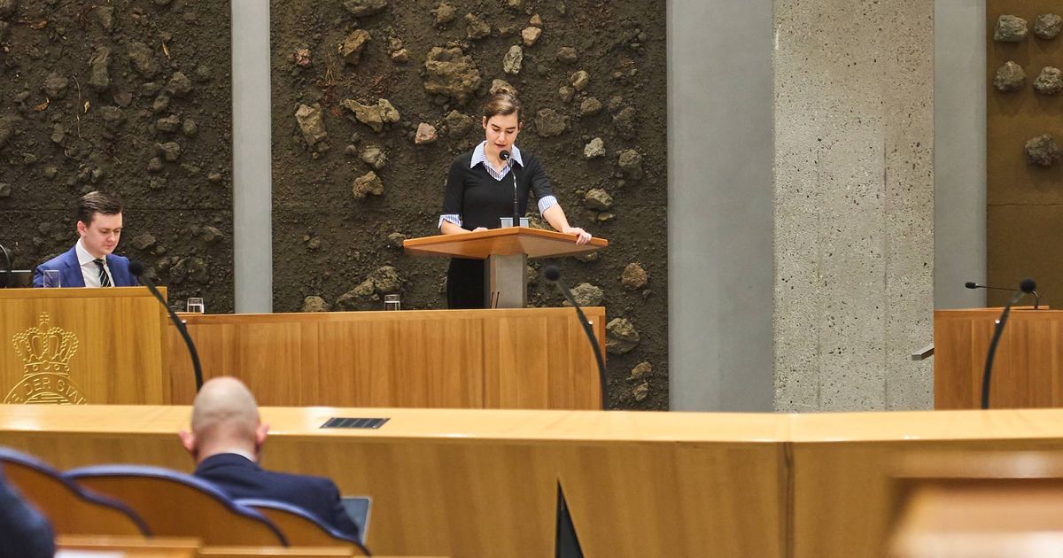 Lidewij de Vos bij Nieuws van de Dag: FVD verdubbelt in gemeenten | DDS