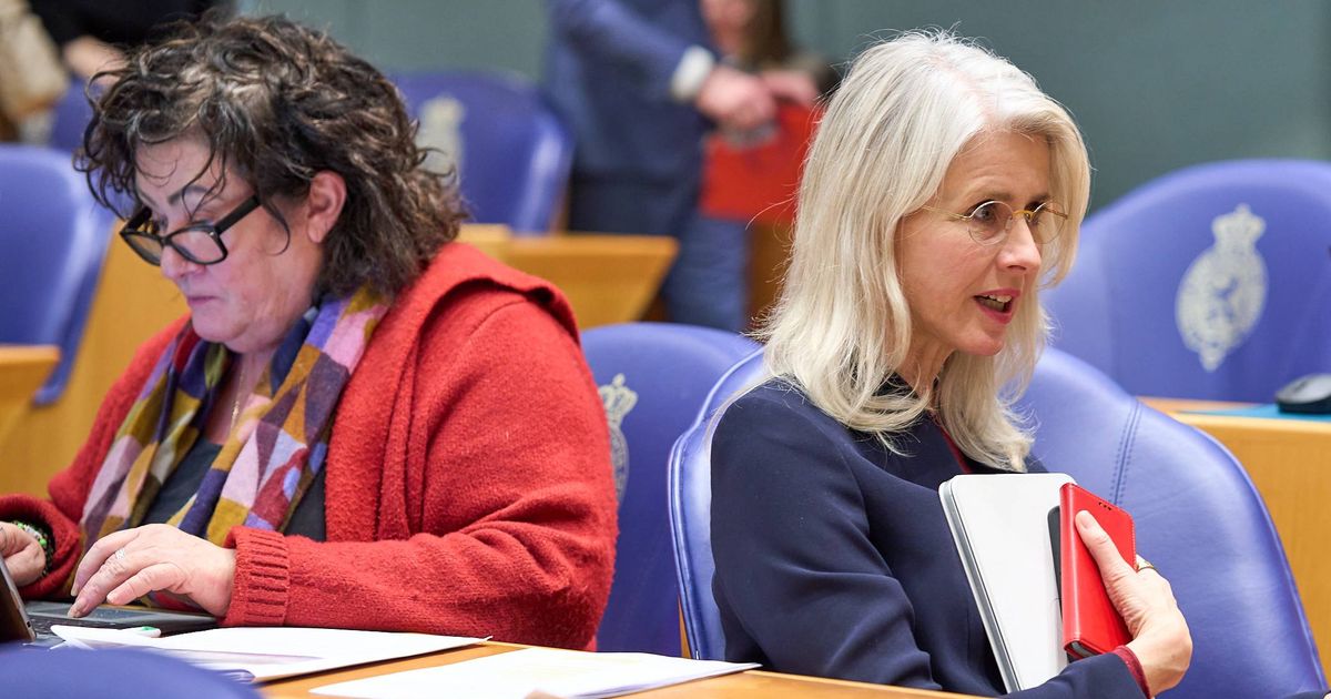 Burgeroorlog bij BBB om kartel-pion Mona Keijzer | DDS