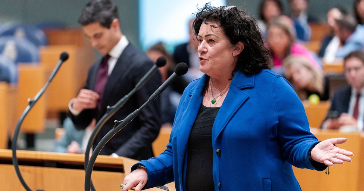 Caroline van der Plas: Vuurwerkverbod Zinloos Zolang Illegaal Spul uit ...