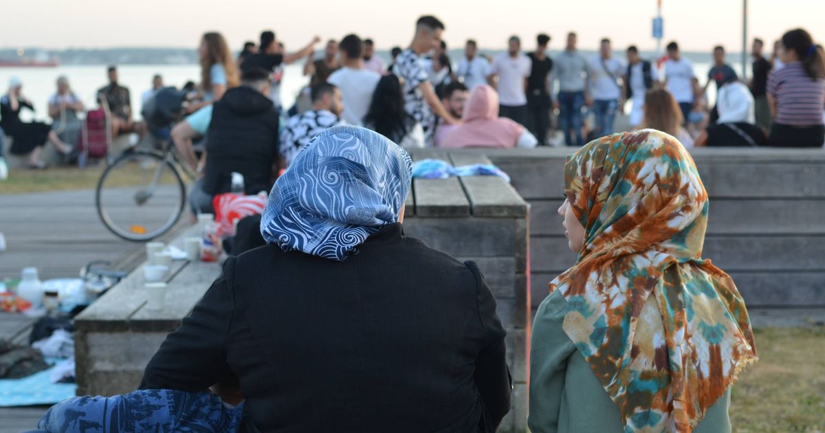 Zweden: 90.000 immigranten in 2024 ondanks 'rechtse' regering | DDS