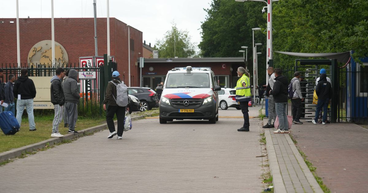 Ter Apel ontploft: Agressief asieltuig trekt messen! | DDS