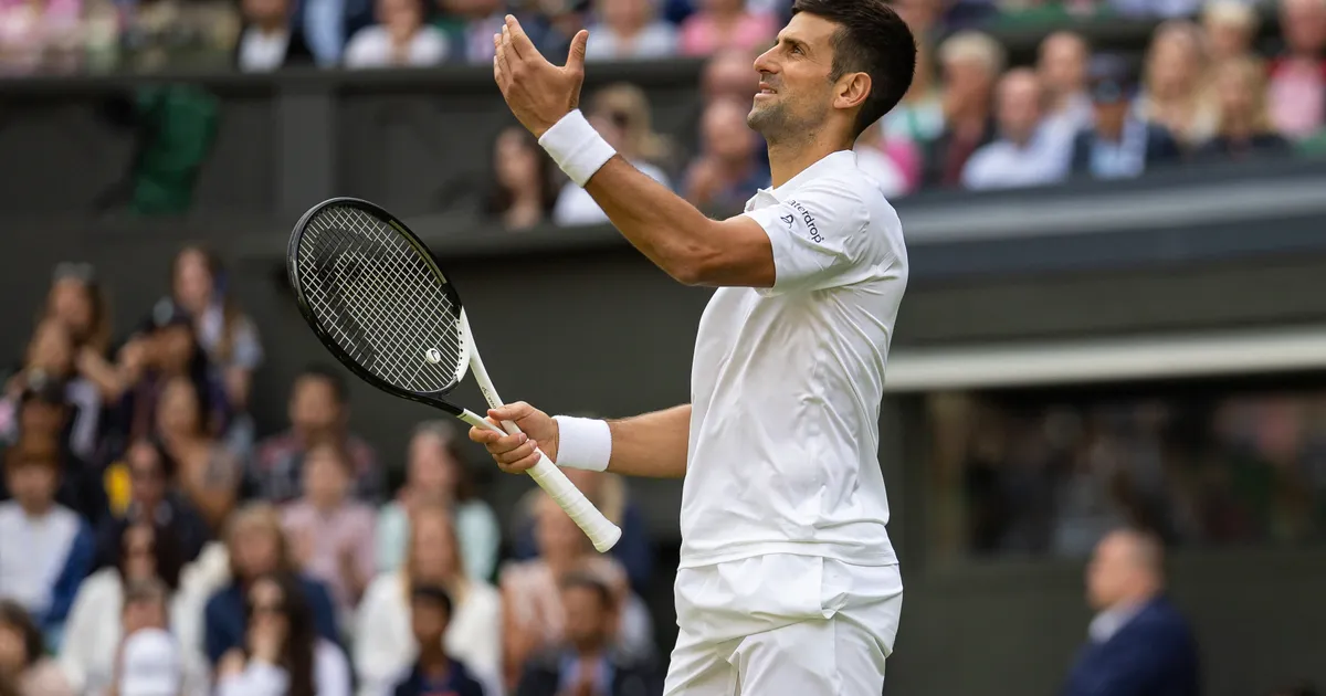 'That Guy, Get Him': Djokovic Requests Wimbledon Security To Eject Fan ...