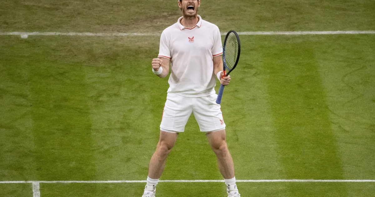 "He’s in a lot of physical agony": Danielle Collins highlights reason behind Andy Murray showing ...