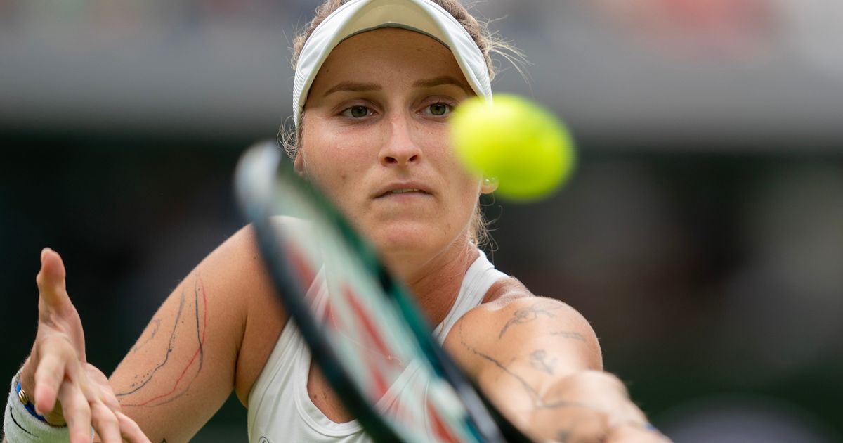 ENTRY LIST del WTA Upper Austria Ladies Linz 2024 con Elina SVITOLINA ...