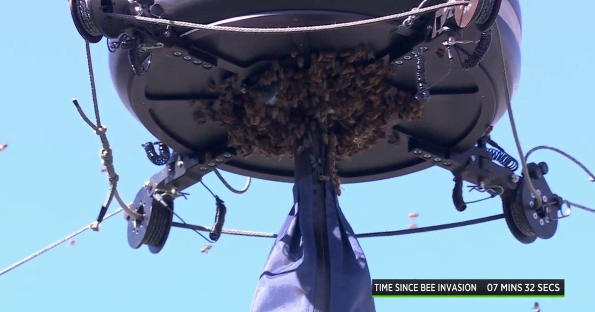 "Craziest thing I've ever seen happen on a tennis court": Daniil ...