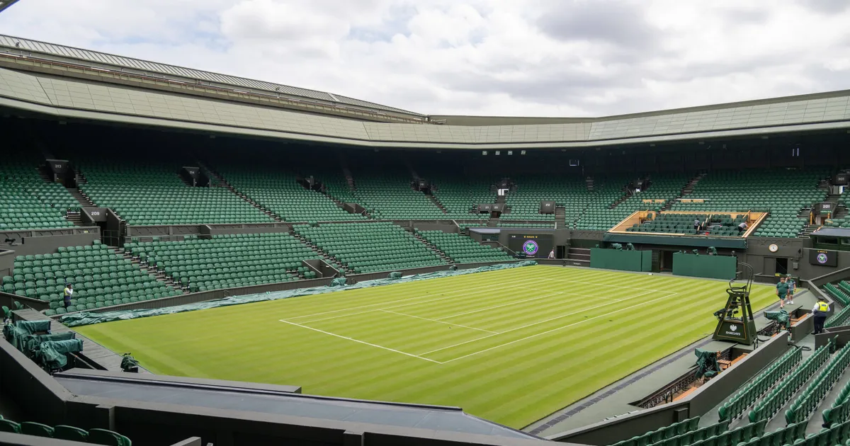 All you need to know about 2024 Wimbledon: TV Guide, prize money ...