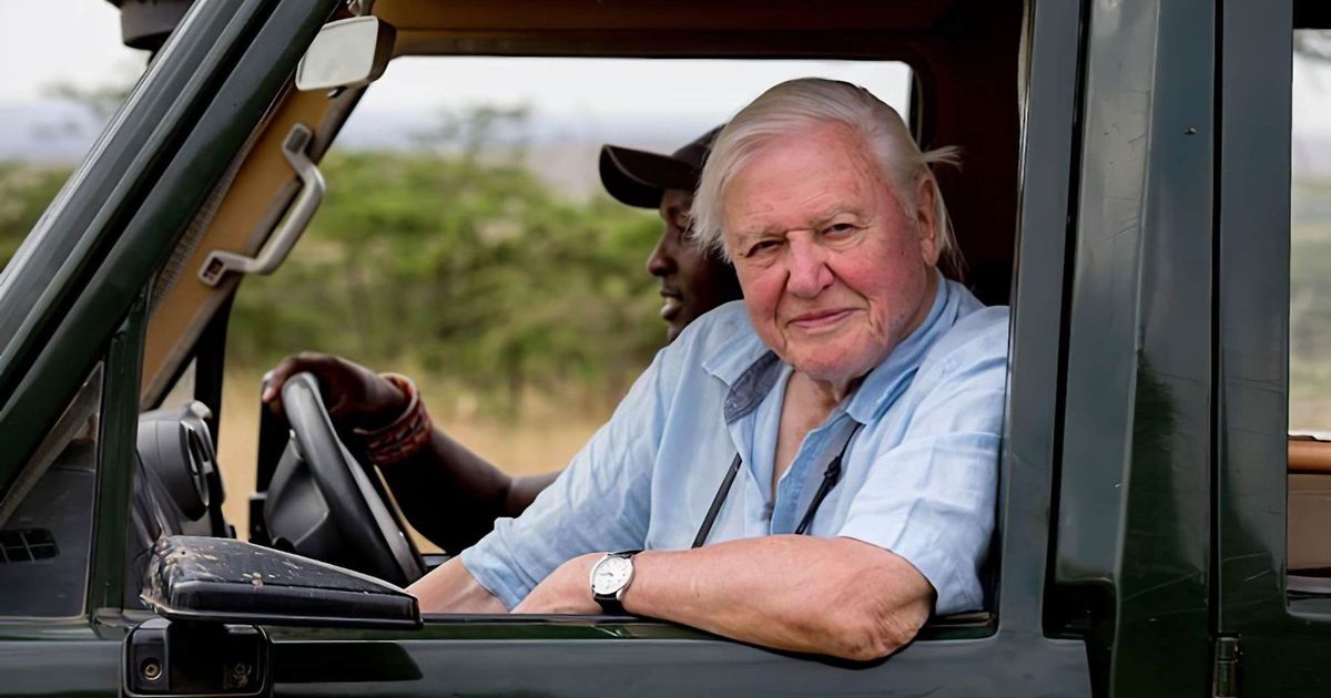 David Attenborough is terug met een nieuwe Netflix-docuserie 'Secret ...