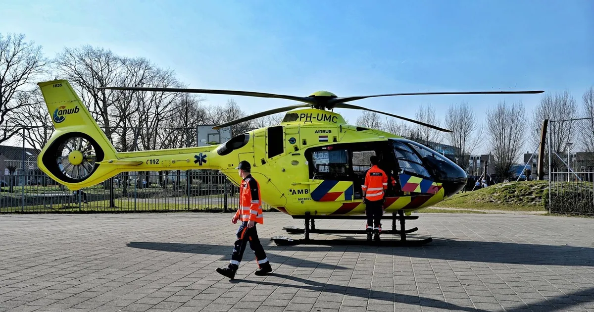 Man ernstig gewond na val uit boom in de Reeshof
