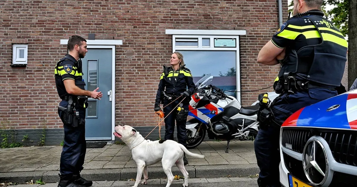 Mogelijk drugslab gevonden na melding van mishandeling honden