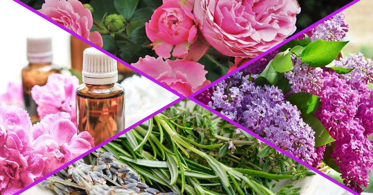 Verban die muffe geur: Met deze simpele tip laat je je kasten, laden en ...