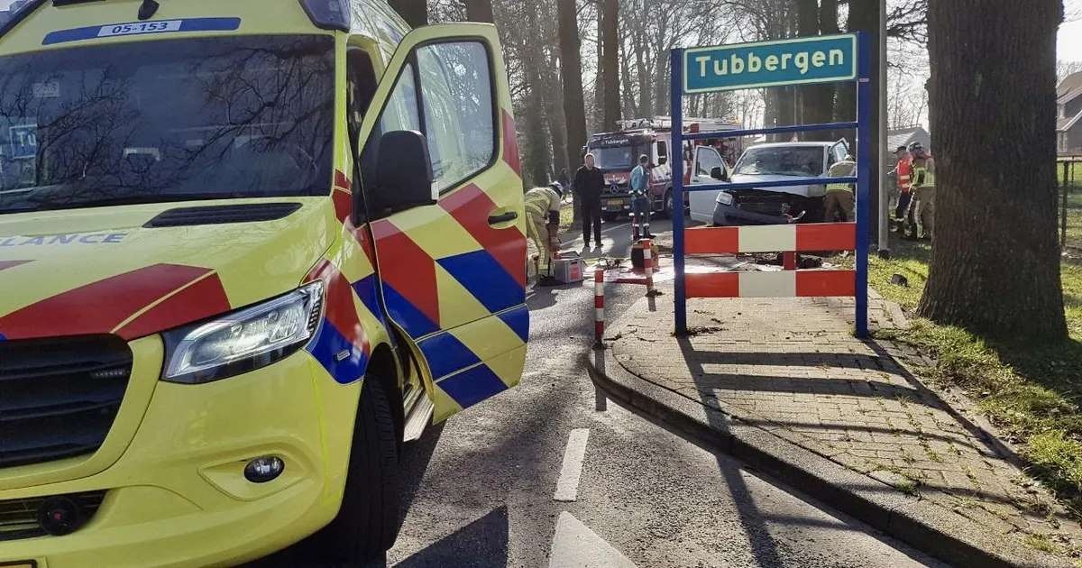 Bestelbus knalt tegen boom in Tubbergen
