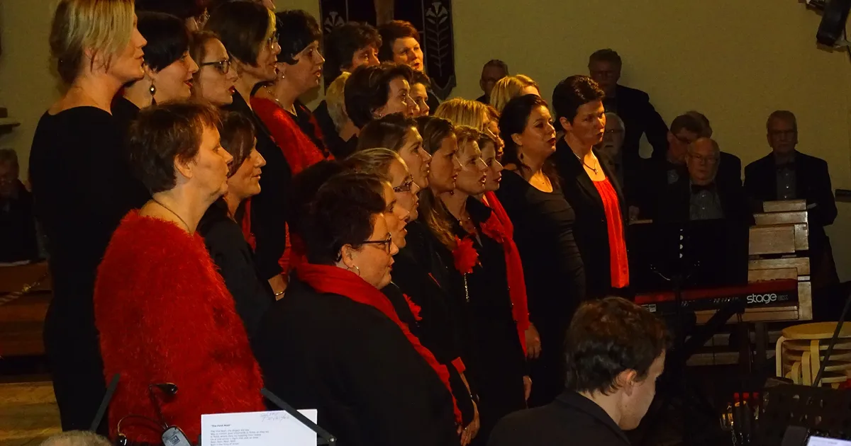 Ongekende samensmelting van klassiek en pop in Vasse