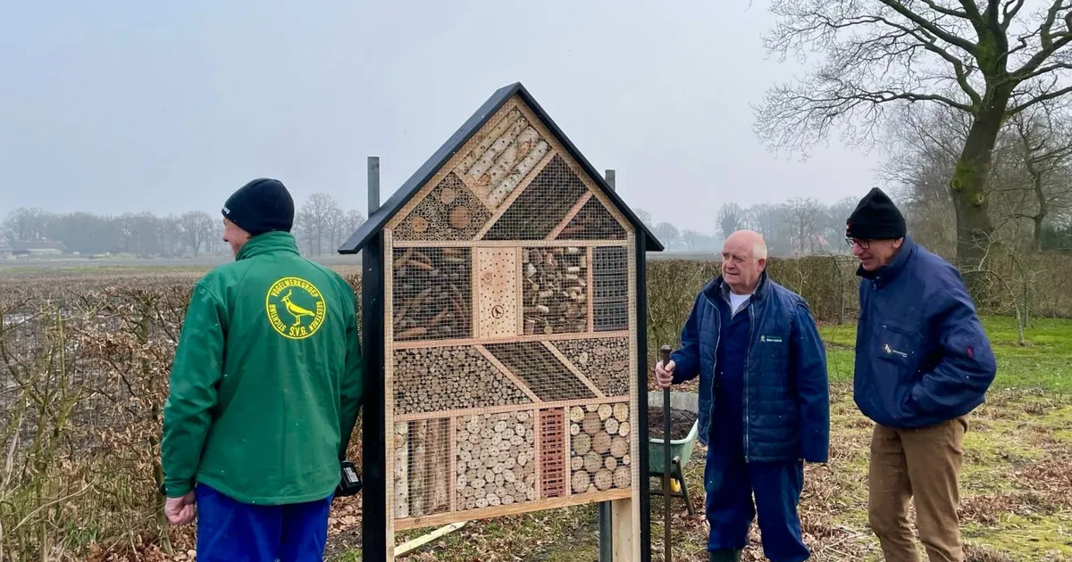 Nieuw hotel voor insecten in Langeveen
